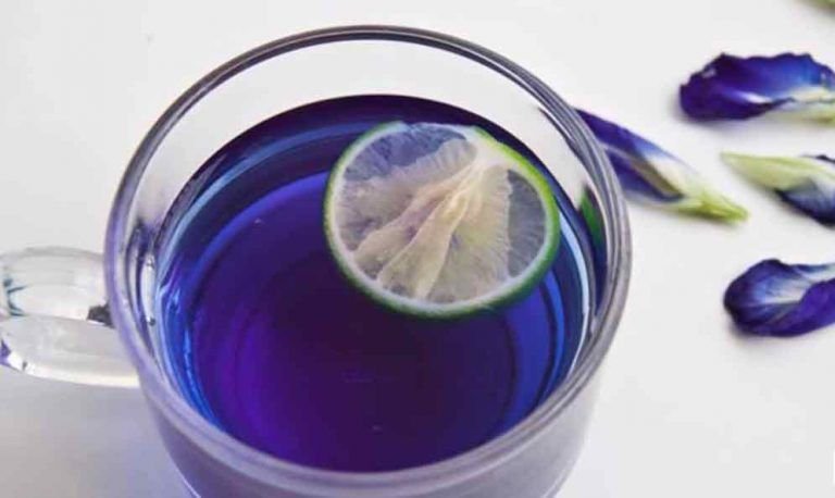 TÉ AZUL ⭐ Beneficios y Propiedades ⭐ Recetas Entra y..